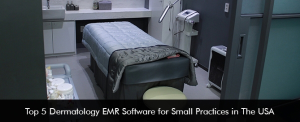 Top 5 Dermatology EMR Software for Small Practices in The USA ...