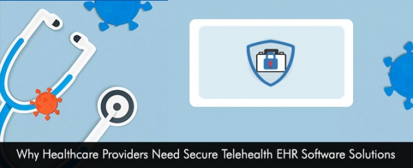 Why Healthcare Providers Need Secure Telehealth EHR Software Solutions ...