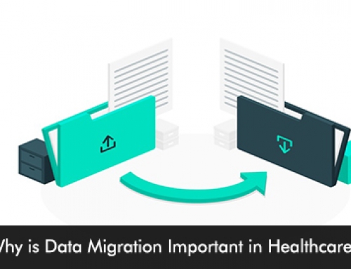 Why Healthcare Providers Need Secure Telehealth EHR Software Solutions ...