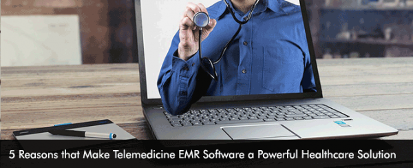 5 Reasons that Make Telemedicine EMR Software a Powerful Healthcare ...