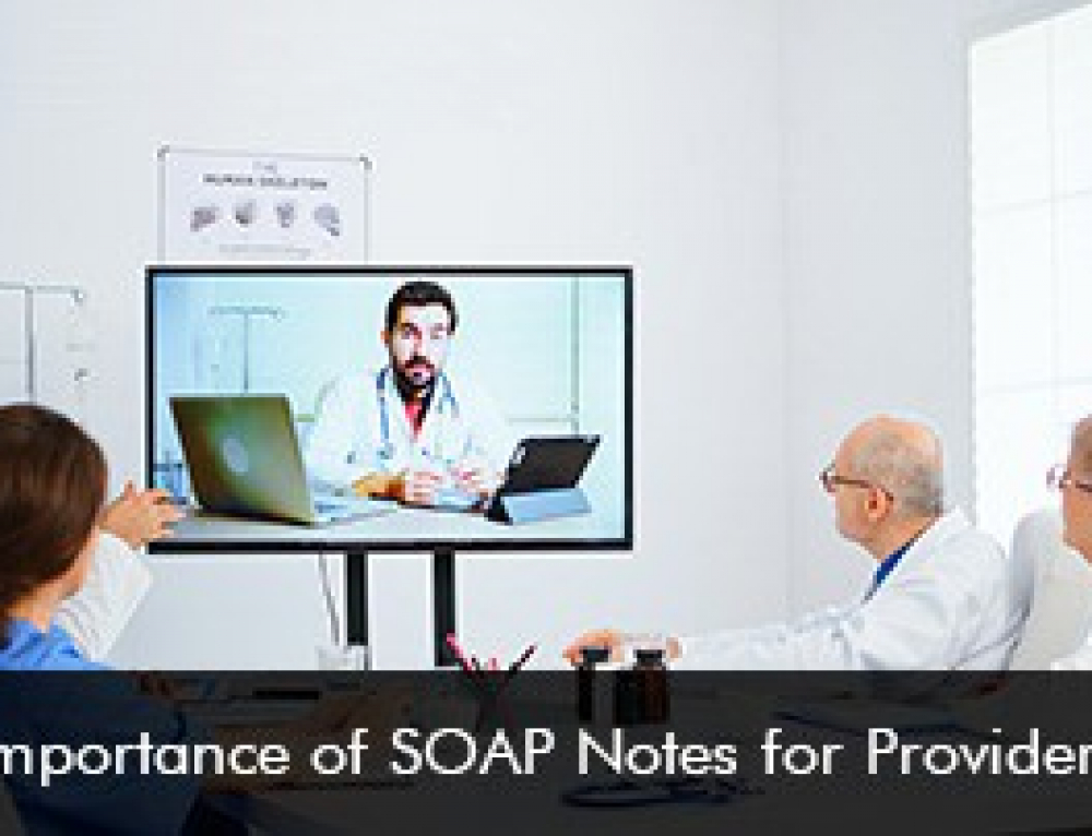 Why Healthcare Providers Need Secure Telehealth EHR Software Solutions ...