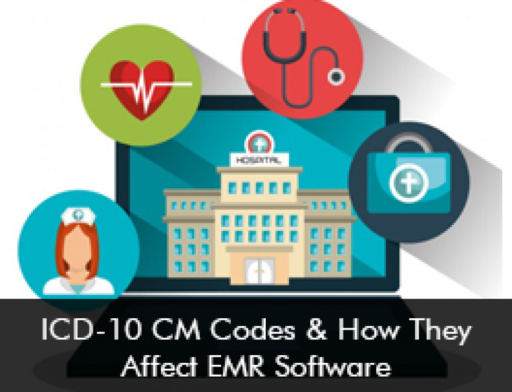 5 Methods that will help you buy the best EMR Software System in 2021 ...